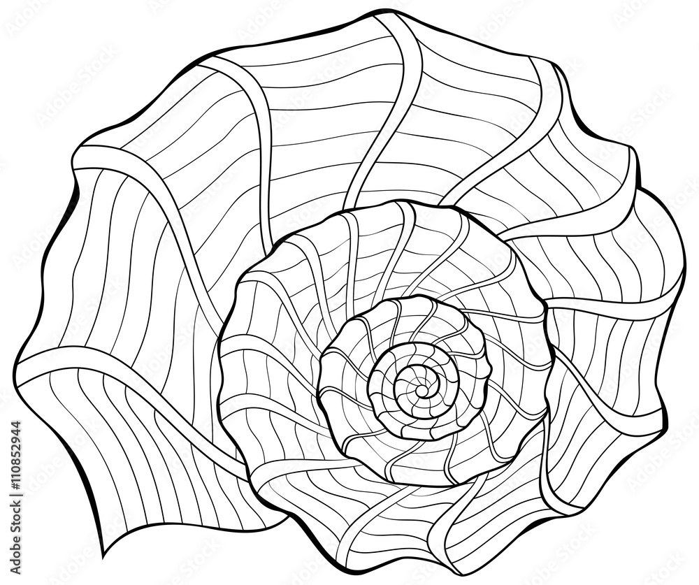 Black and white illustration of shell for coloring. Developing children ...