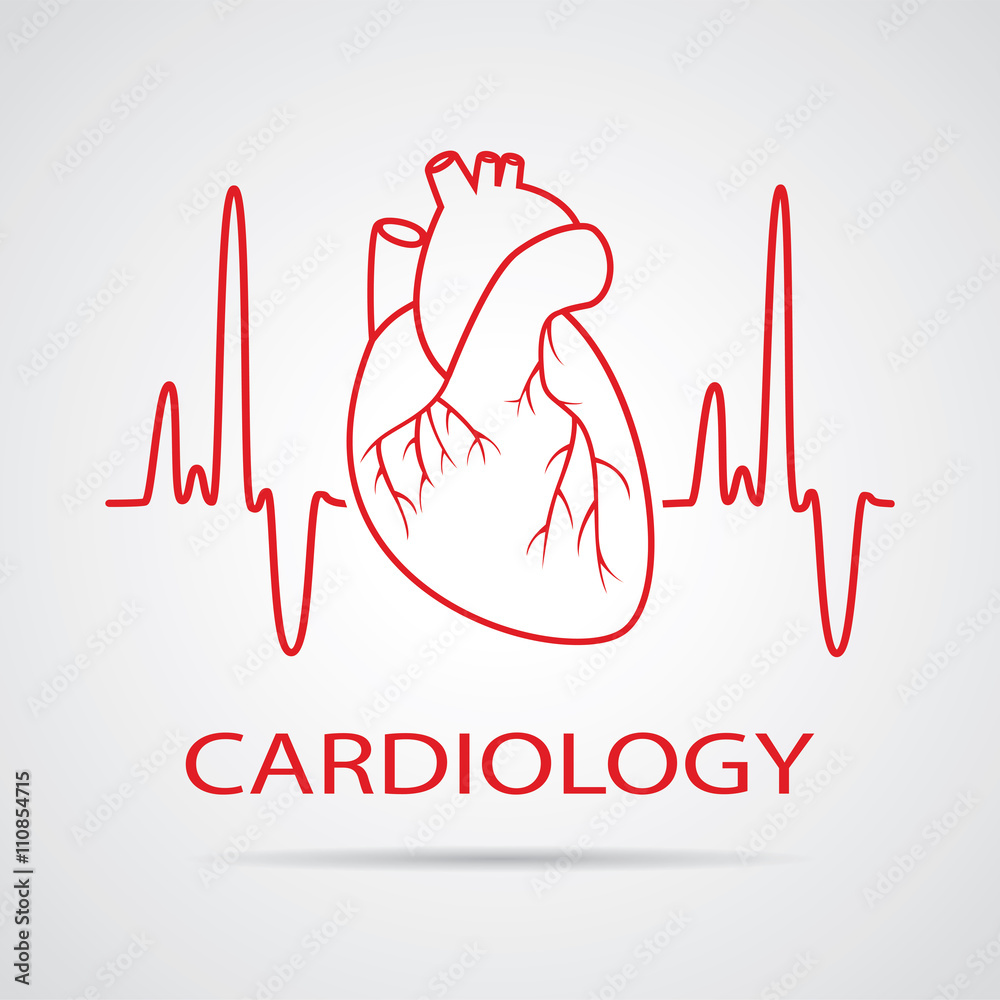 vector human heart medical symbol of cardiology Stock Vector | Adobe Stock