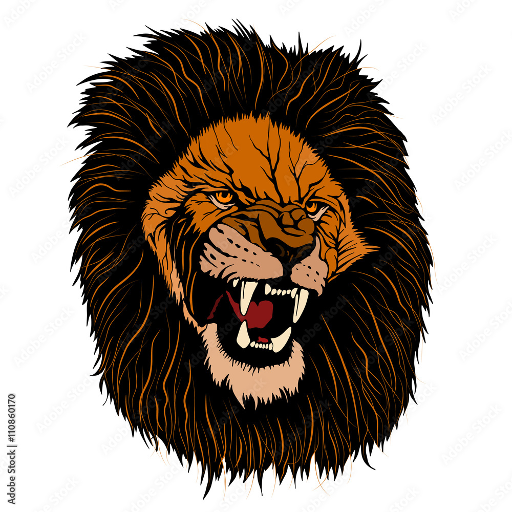 Lion Angry Face Art