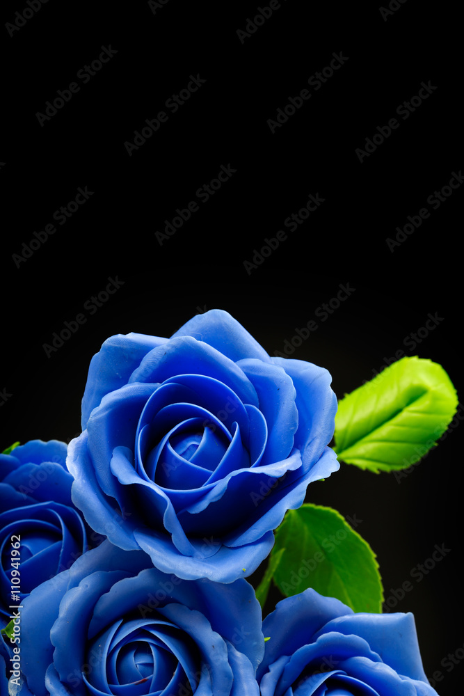 Black And Blue Rose Background