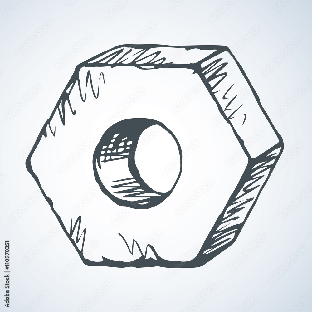 Large nut. Vector drawing Stock Vector | Adobe Stock