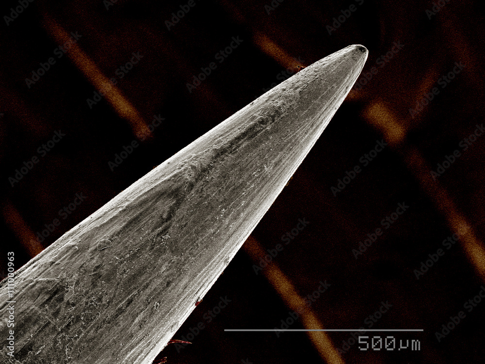 Point of sewing needle SEM Stock Photo | Adobe Stock