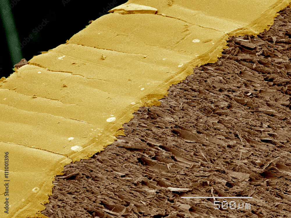 Shaving from Number 2 pencil SEM Stock Photo | Adobe Stock