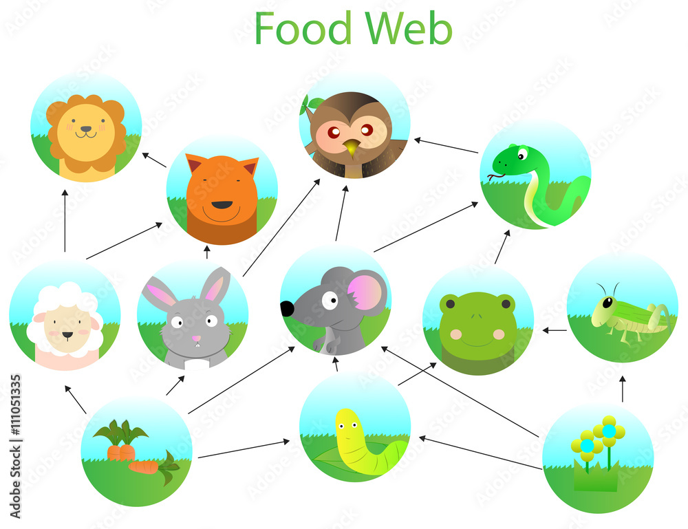 Food web for kids Stock Vector | Adobe Stock
