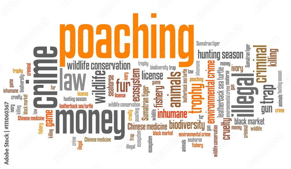 Poaching - word cloud concept Stock Illustration | Adobe Stock