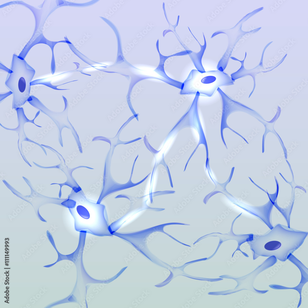 Neuron, nerve cell - Vector Illustration Stock Vector | Adobe Stock