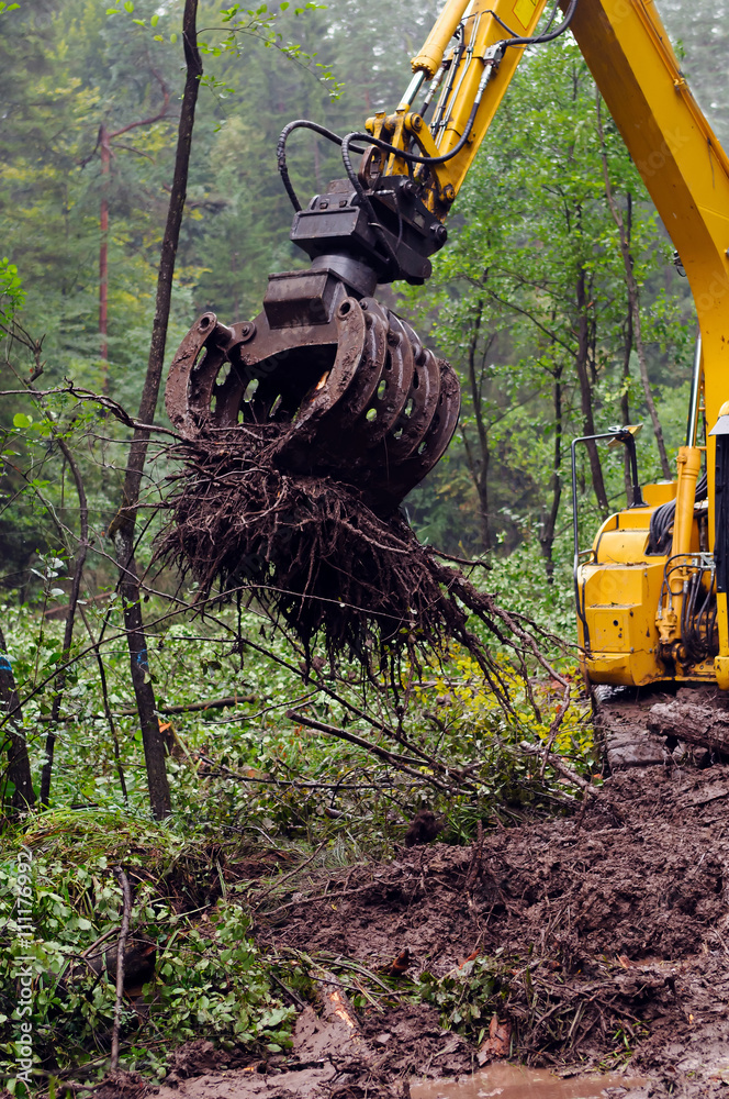 Hydraulic arm of excavator used to dig up tree-stumps and roots after ...