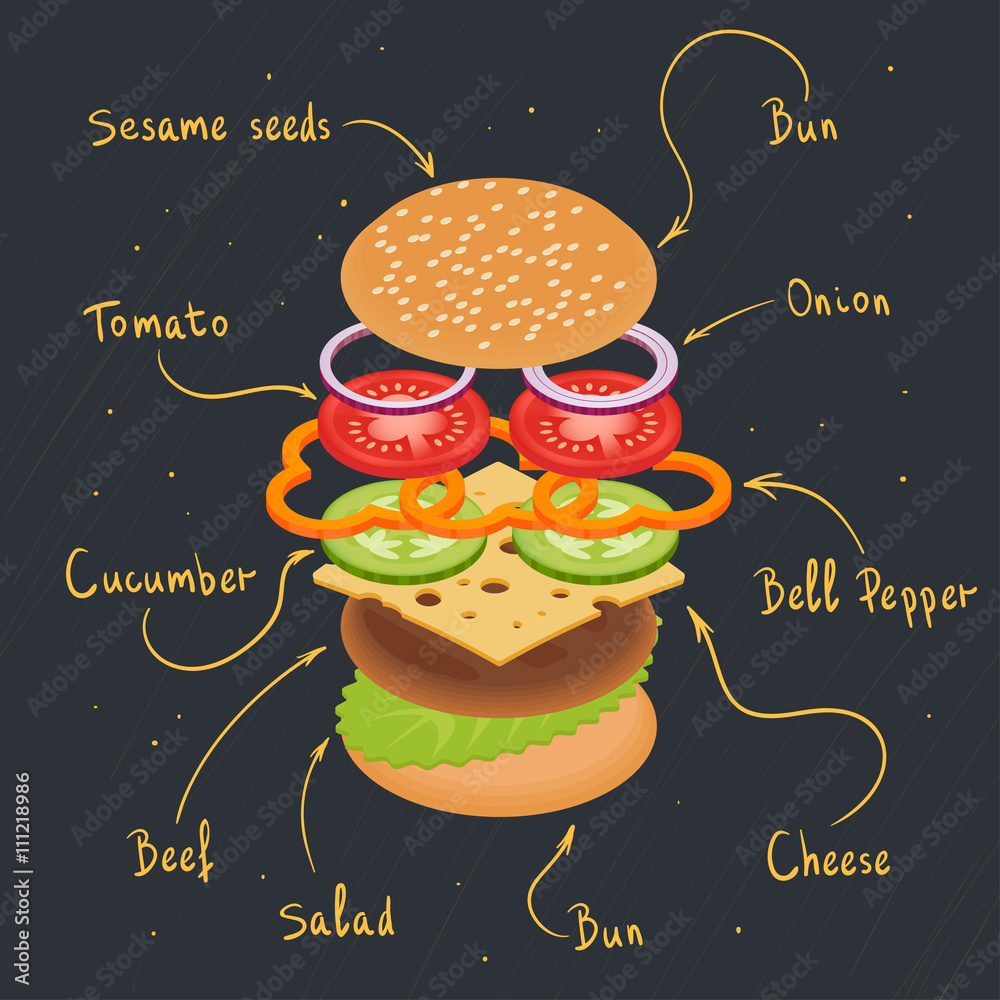 Vector illustration of burger infographics. Stock Vector | Adobe Stock