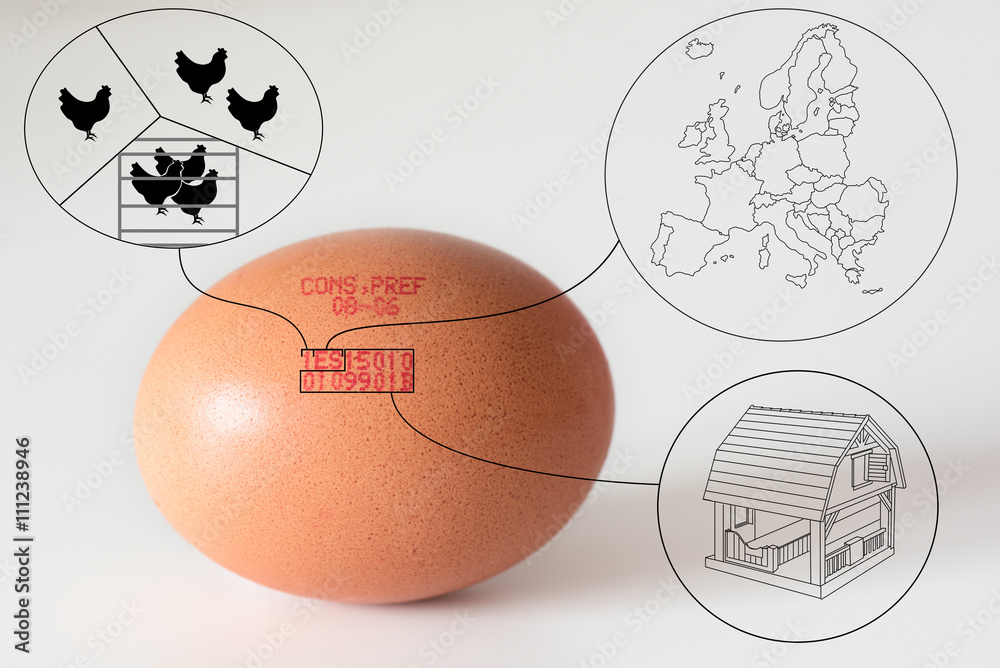 marking code numbers printed in egg explanation drawings. Europe ...