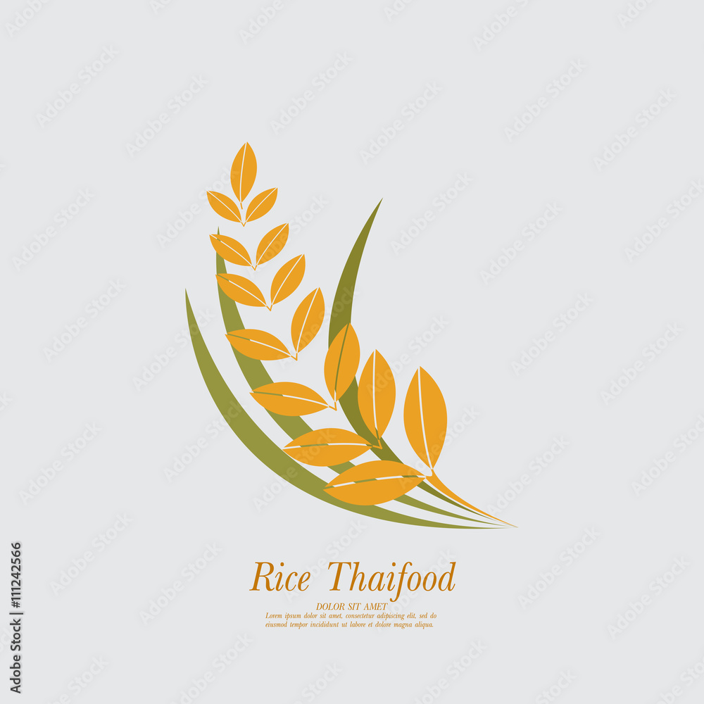 rice vector vector de Stock | Adobe Stock