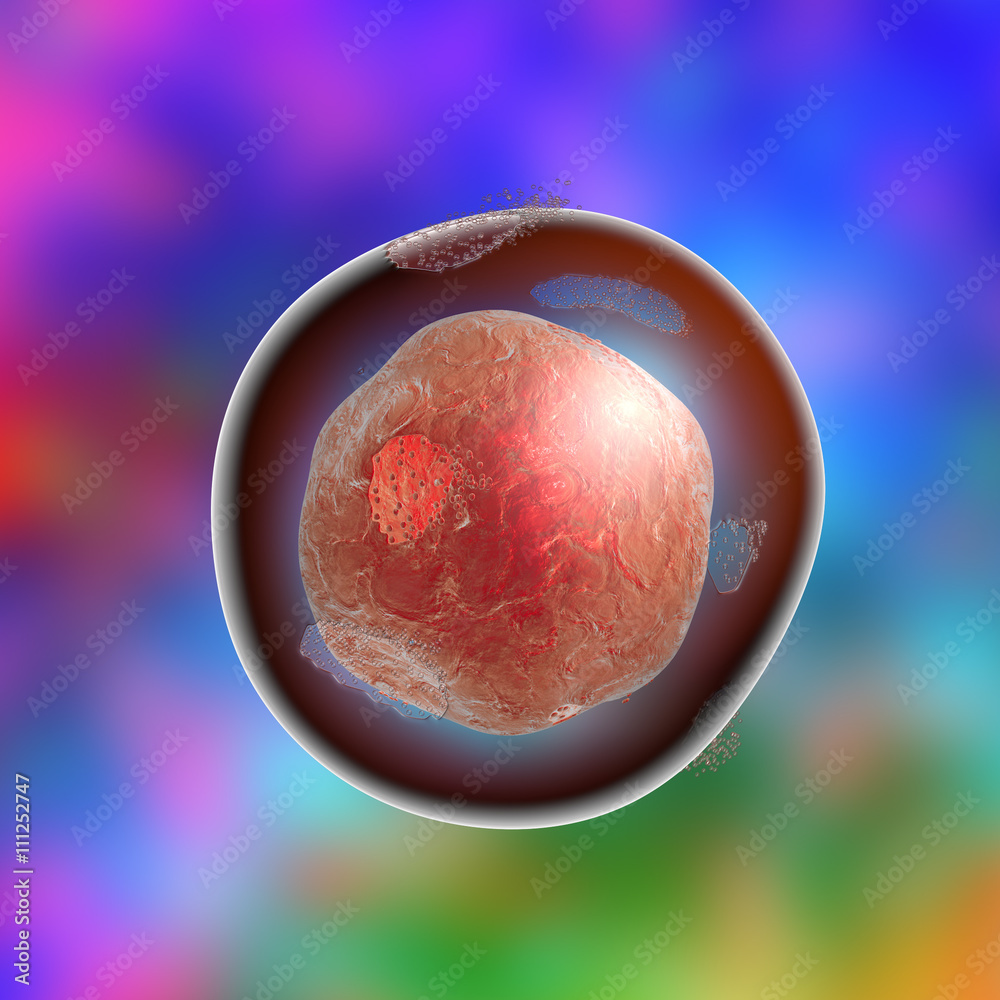 Cell lysis. 3D illustration. Series of images showing different stages ...