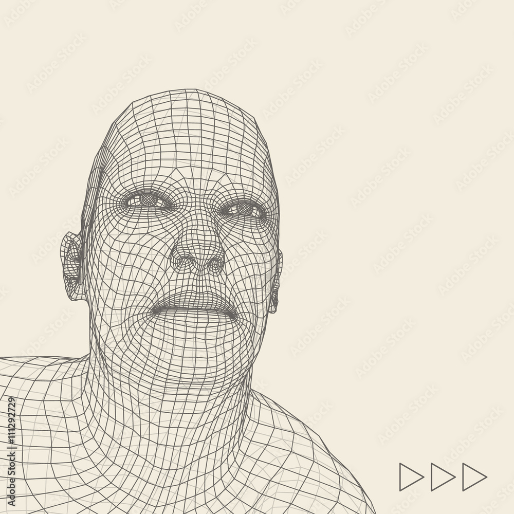 Head of the Person from a 3d Grid. Human Head Wire Model. Human Polygon ...