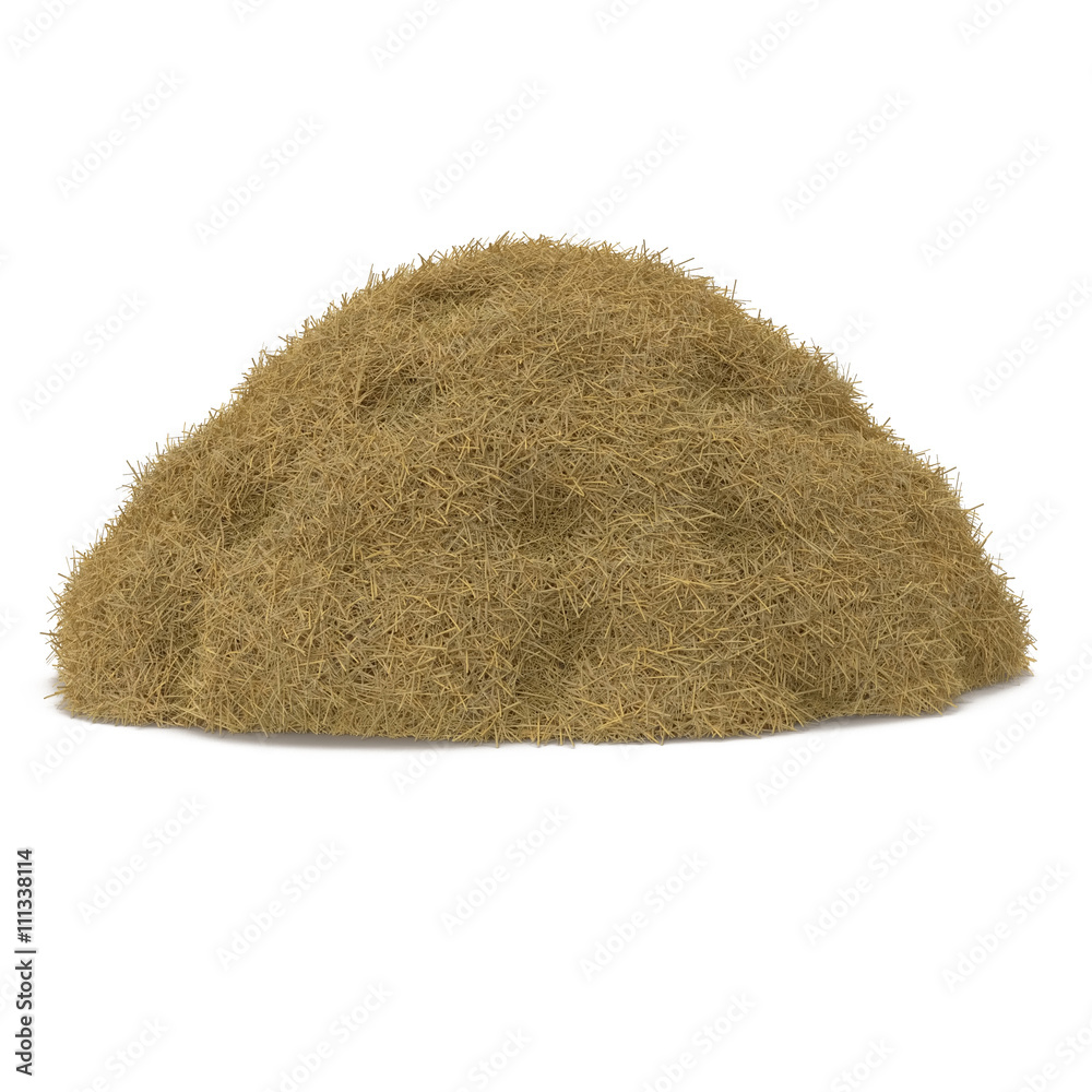 Hay pile isolated on a white background as an agriculture farm and ...