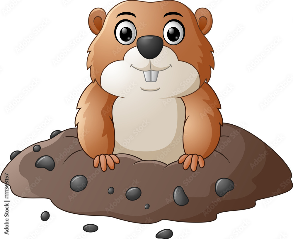 Cartoon funny groundhog Stock Vector | Adobe Stock