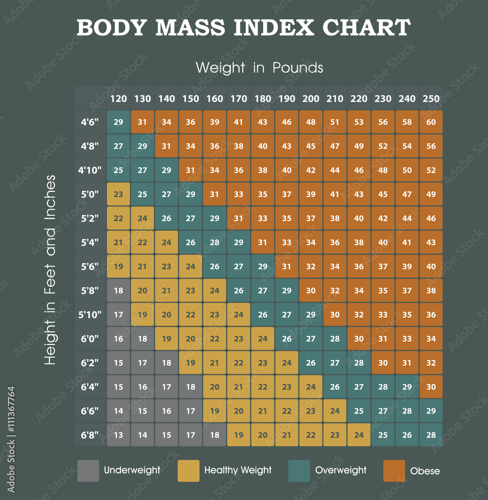 Body Mass Index chart - height an weight infographic Stock Vector ...