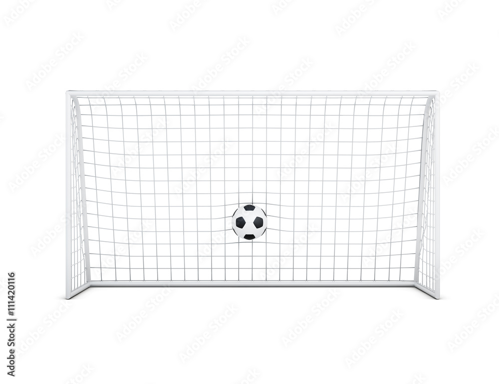 Soccer Goal Net Front