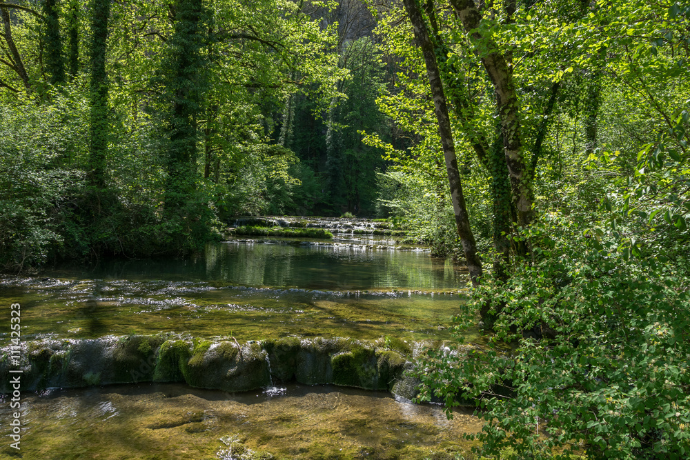 Paysage forêt et rivière Stock Photo | Adobe Stock