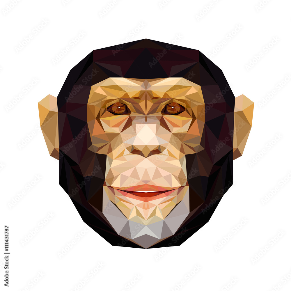 Vector portrait of monkey polygonal. Triangle illustration monkey for ...