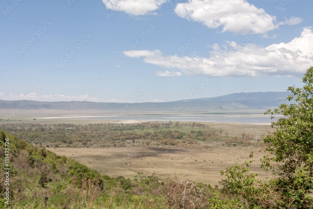 View on huge Ngorongoro caldera (extinct volcano crater) with large ...
