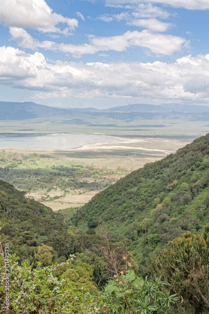 View on huge Ngorongoro caldera (extinct volcano crater) with large ...