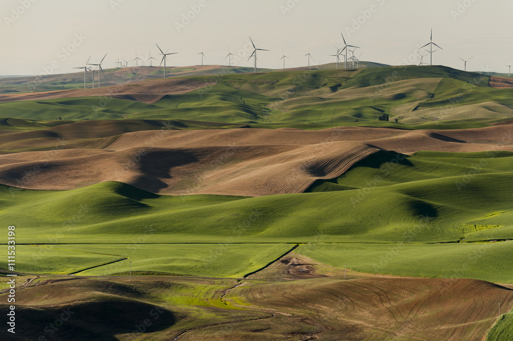 Palouse Wind Turbines. The 40-acre, 58-turbine wind farm, named Palouse ...
