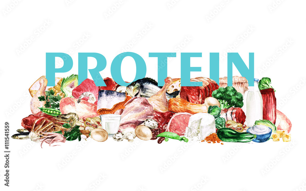 Proteins Food Clipart