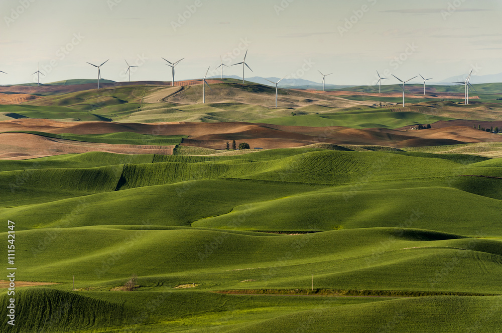 Palouse Wind Turbines. The 40-acre, 58-turbine wind farm, named Palouse ...