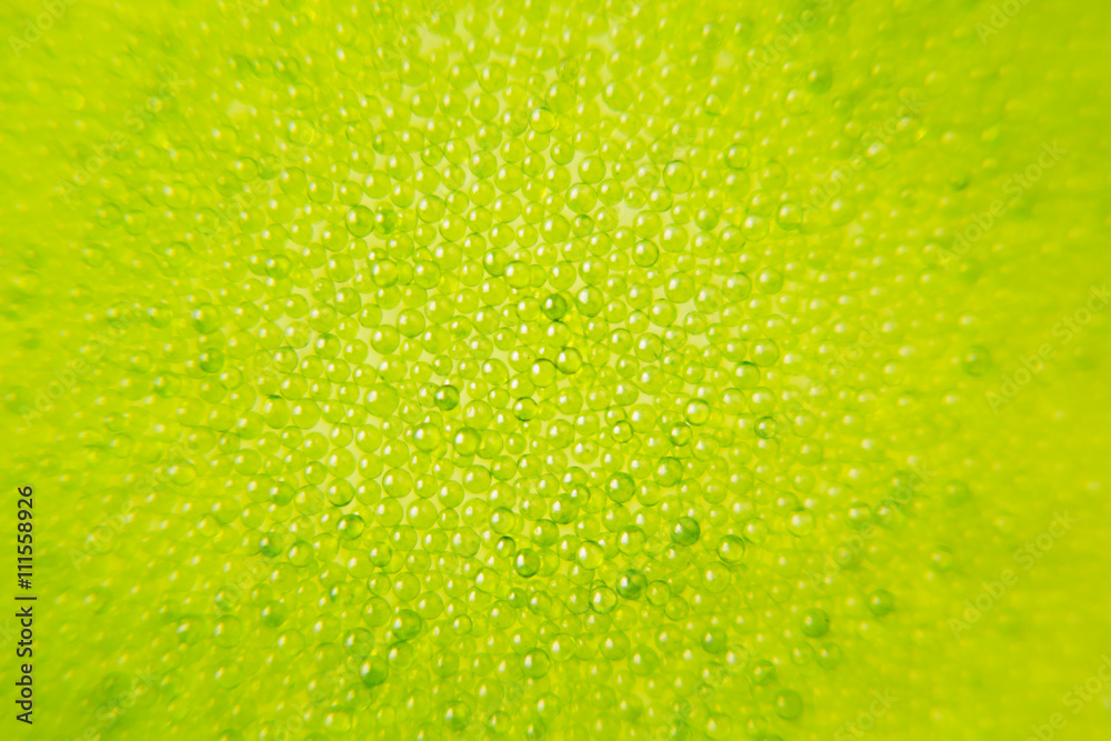 Abstract bright green spring background with blur and sparkles. Spring ...