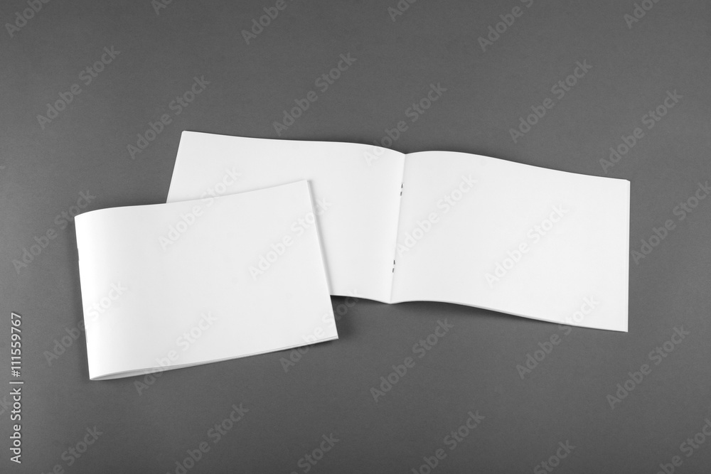 Blank catalog, brochure, magazines, book mock up Stock Photo | Adobe Stock