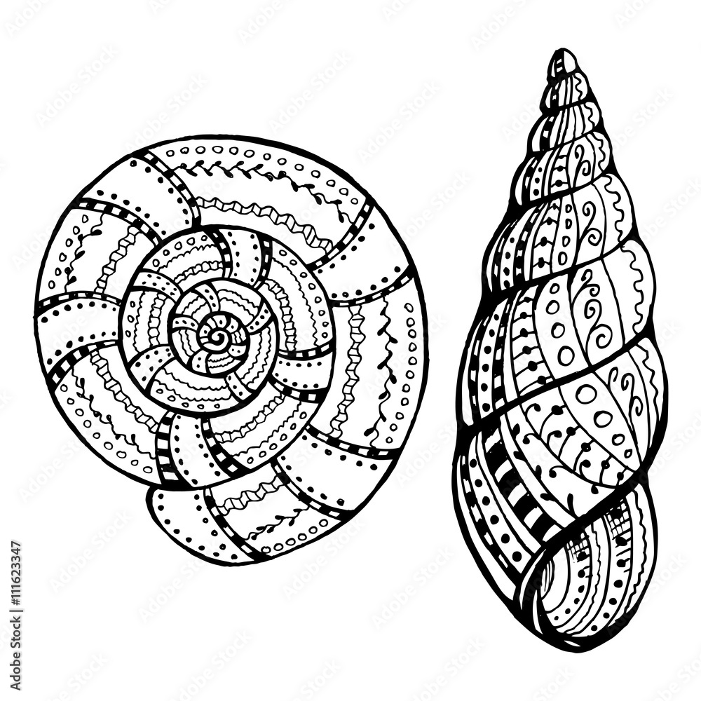 Two shell snails. Doodle. Zentangle. Drawing by hand Stock Vector ...