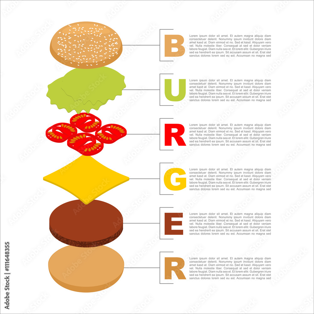 Burger infographics. Structure of hamburger isometrics. Fresh bu Stock ...