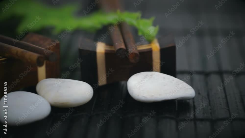 Traditional Asia Hashi (Chop Sticks) Panning shot of traditional Asian ...
