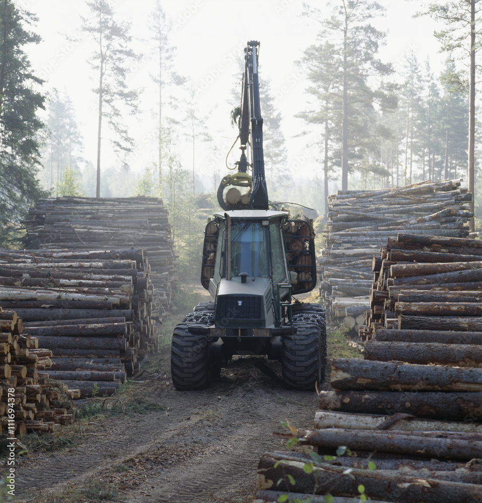 Crane transporting wooden logs Stock Photo | Adobe Stock