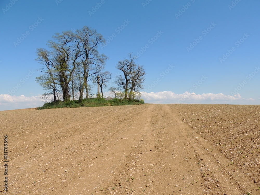 Plowed field looking like desert with small oasis and statue Stock ...
