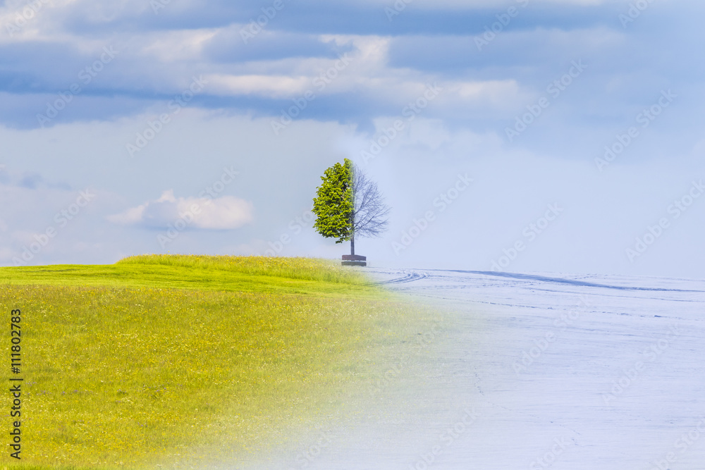 Climate change from summer to winter time over the year. Nature weather ...