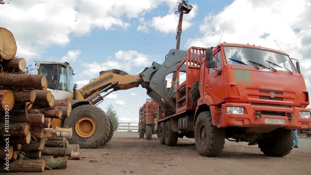 LUMBER MILL LOGGING TIMBER AND TREES FACILITY Stock Video | Adobe Stock