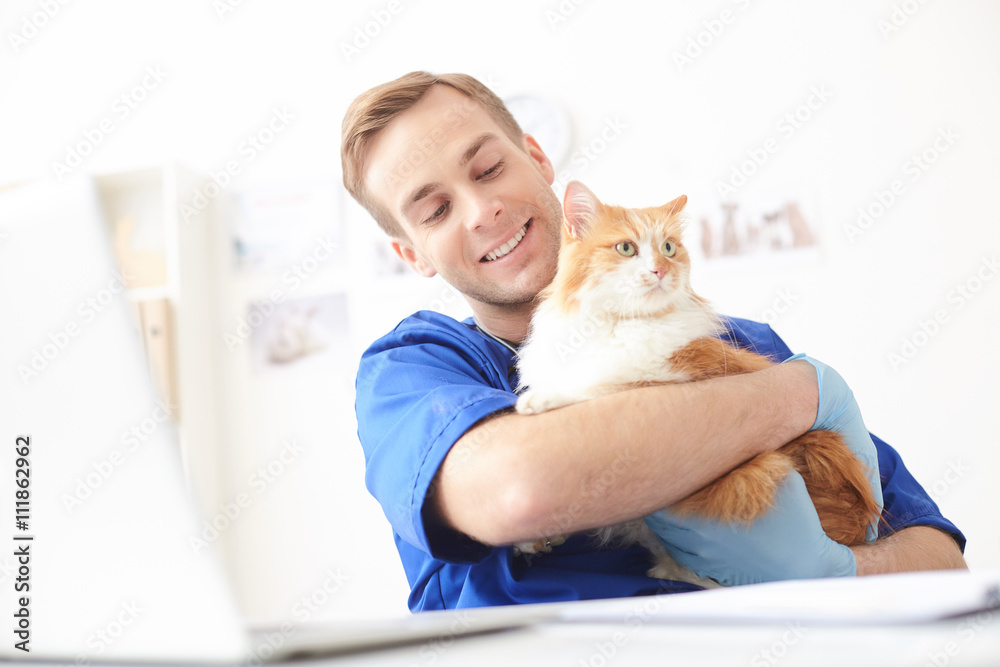 Professional male vet is examining an animal Stock Photo | Adobe Stock