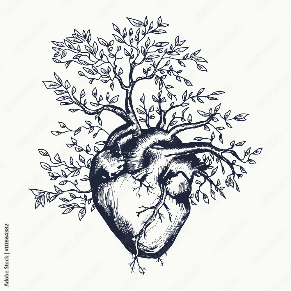 Anatomical human heart from which the tree grows Stock Vector | Adobe Stock