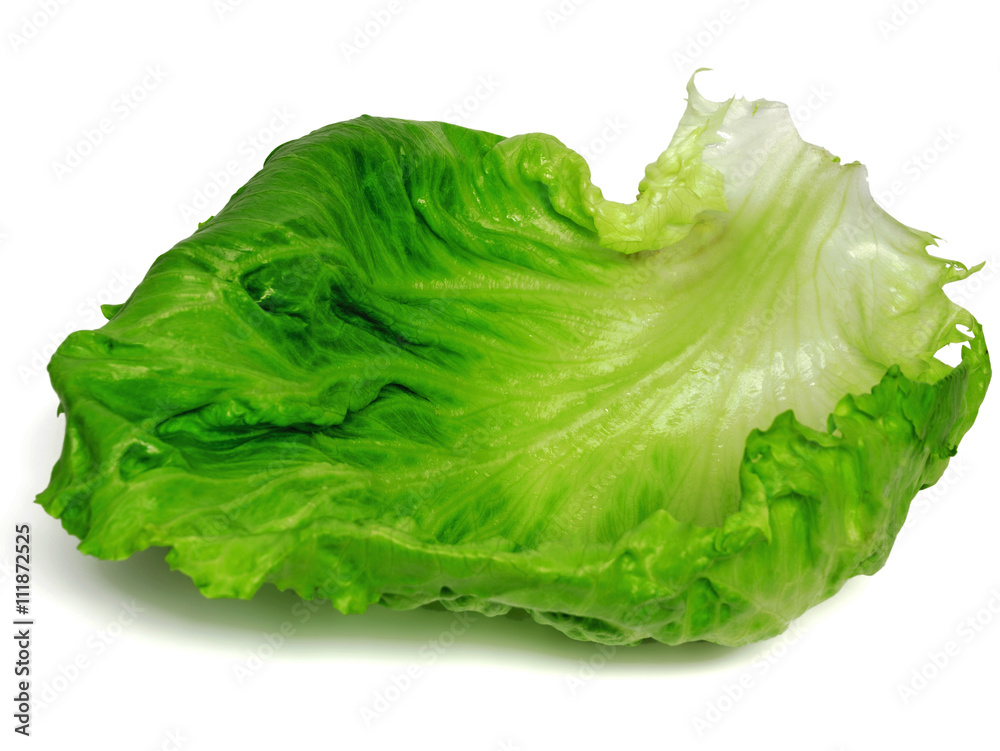 Salatblatt Stock-Foto | Adobe Stock