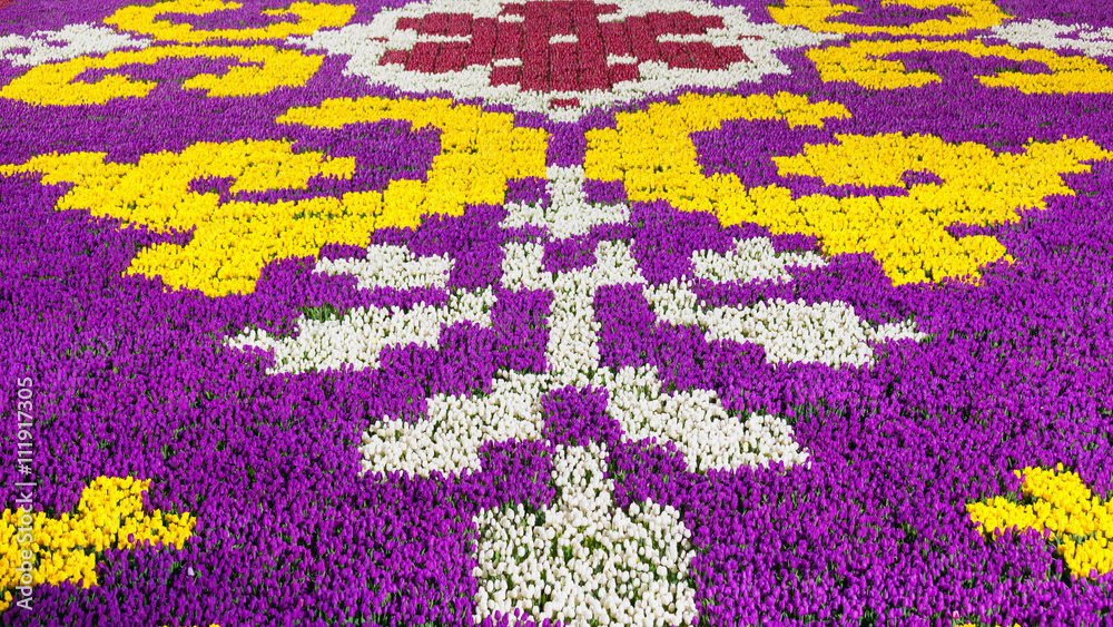 Tulip carpet in Istanbul Stock Photo | Adobe Stock