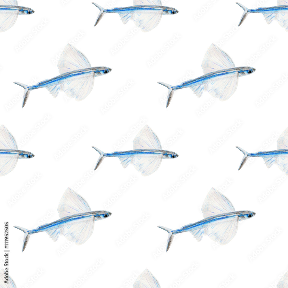 Colored pencil drawing of flying fish, seamless pattern Stock Photo ...