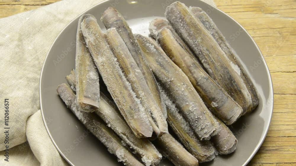 Solen marginatus Lingueirão Grooved Razor Shell Cannolicchio Longueirón ...