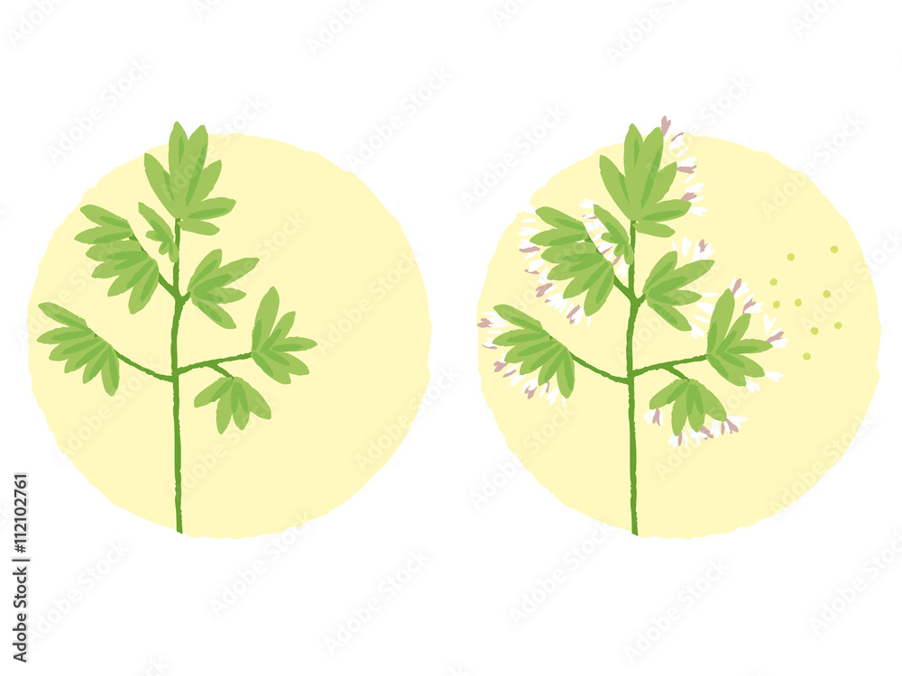 blooming, weeds, weed vector de Stock | Adobe Stock