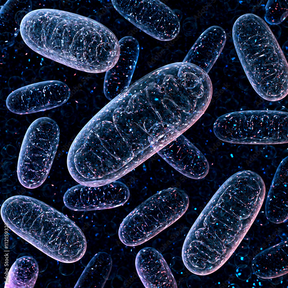 Mitochondria on a dark blue background. 3d illustration Stock ...