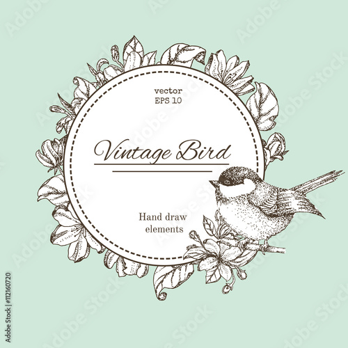 Vintage Bird Vector