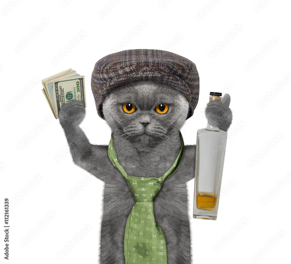 Cats Drinking Alcohol