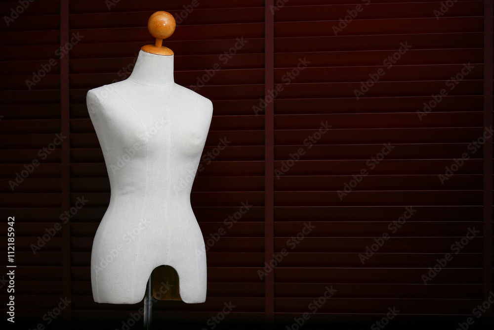 designer made lady clothes to order. fitting room of designer. fashion ...