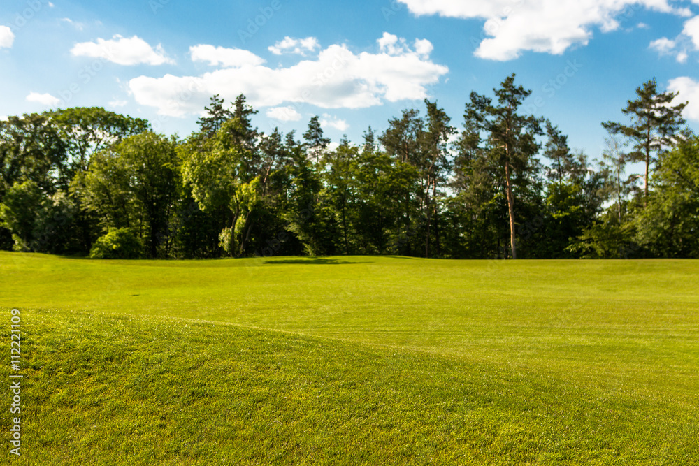 Blue Sky Green Grass Trees