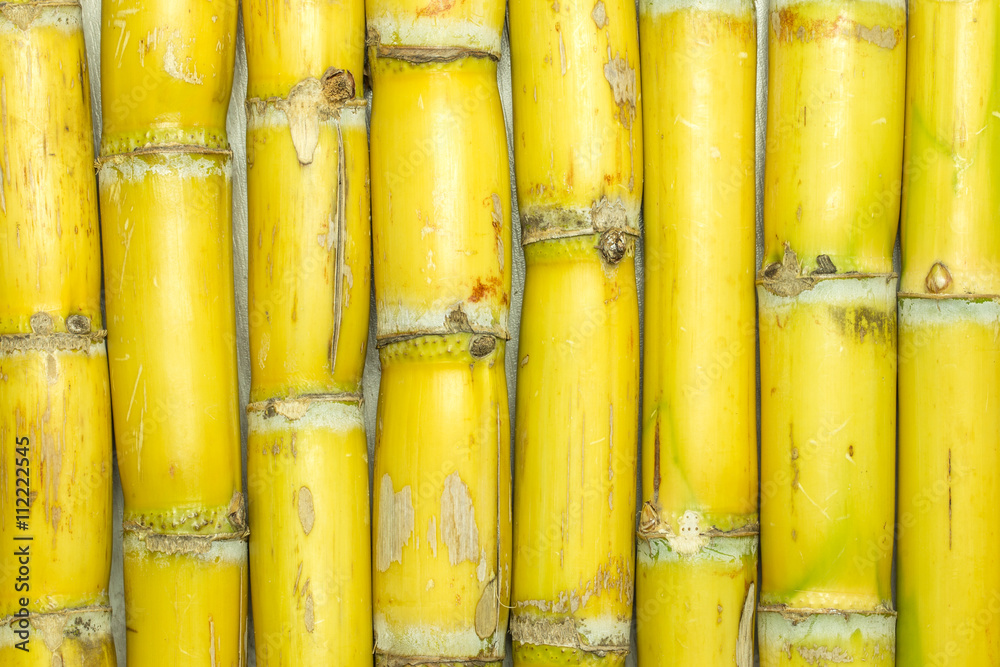 Texture of sugarcane varieties Stock Photo | Adobe Stock