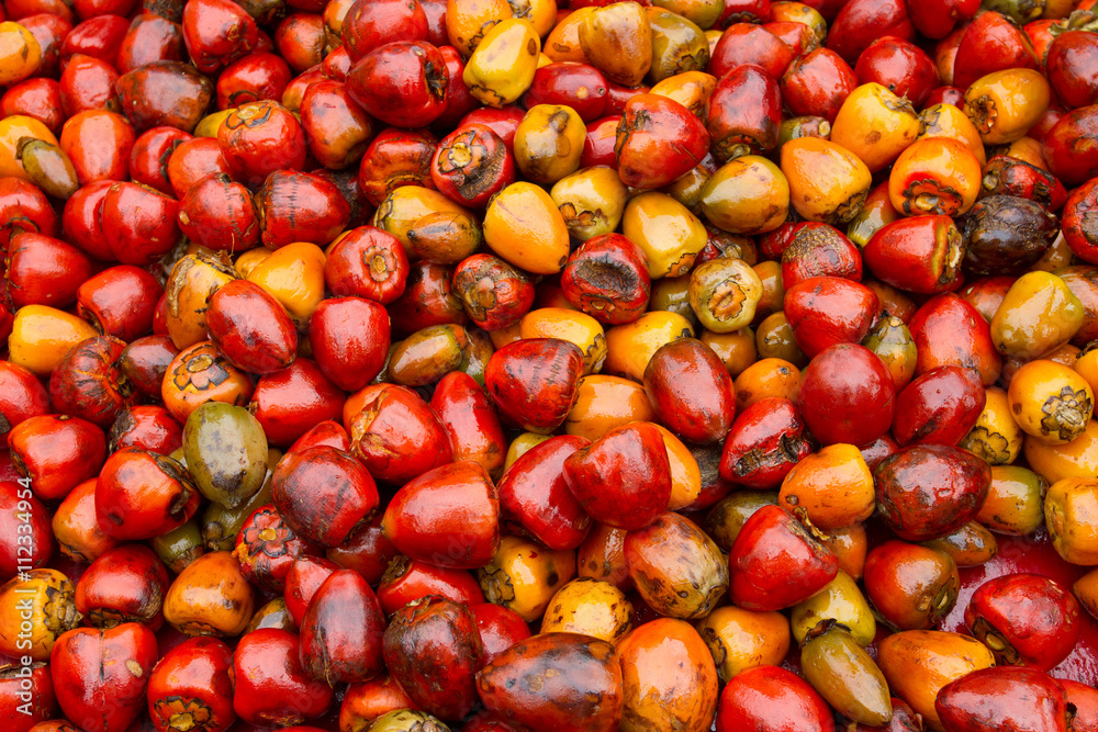 Foto de chotaduro, pupunha, pijuayo, pixbae, cachipay, pejibaye, tembe ...